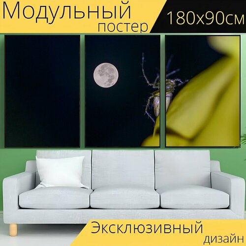 Модульный постер "Луна, изобразительное искусство, спайдер" 180 x 90 см. для интерьера
