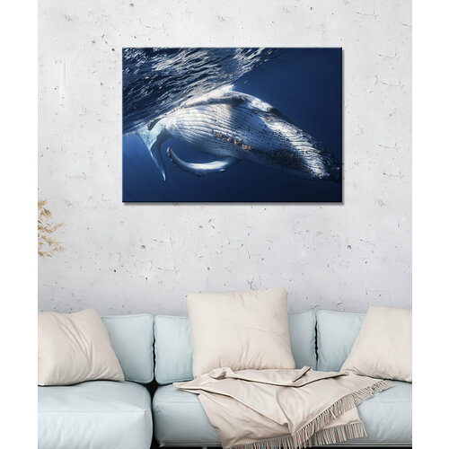Картина - кит, синий кит, кит в океане, огромный кит, кит в воде (37) 60х80
