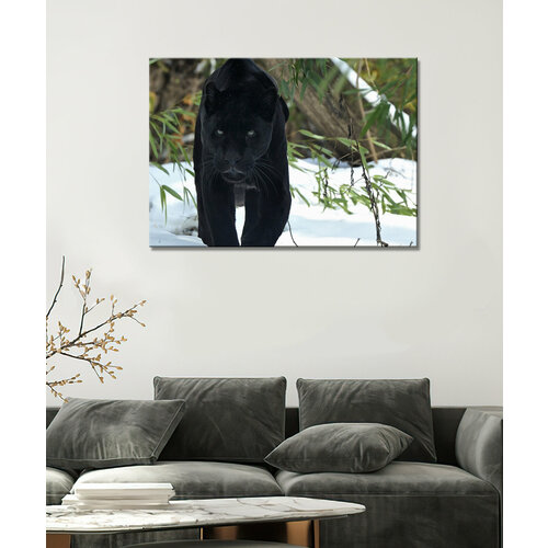 Картина/Ягур/Ягуар в джунглях/Ягуар на дереве/Черный ягуар/ - Черный ягуар (15) 20х30