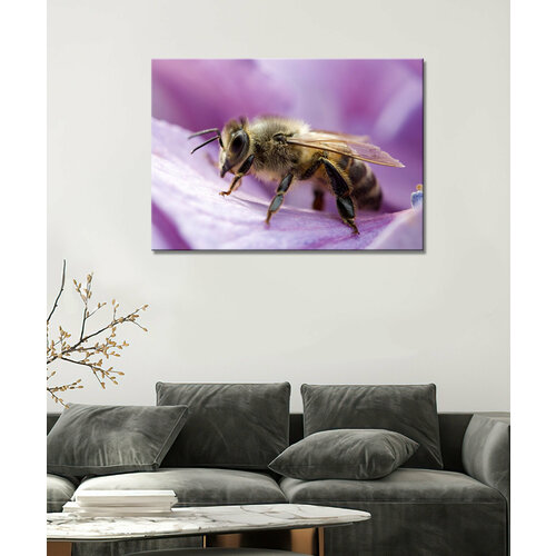 Картина/Пчела/Пчелы/Пчела на цветке/Пчела вблизи/Пчелакрупным планом/ - Пчела (21) 20х30