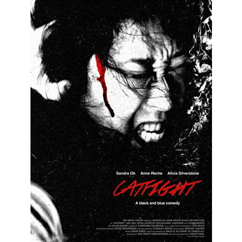 Плакат, постер на бумаге Cat Fight/Женская драка/искусство/арт/абстракция/творчество. Размер 60 х 84 см