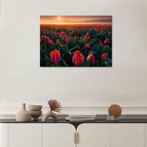 Интерьерная картина на холсте - поле тюльпанов 50х70
