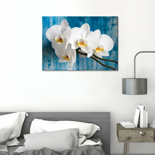 Интерьерная картина на холсте - белая орхидея 30х40