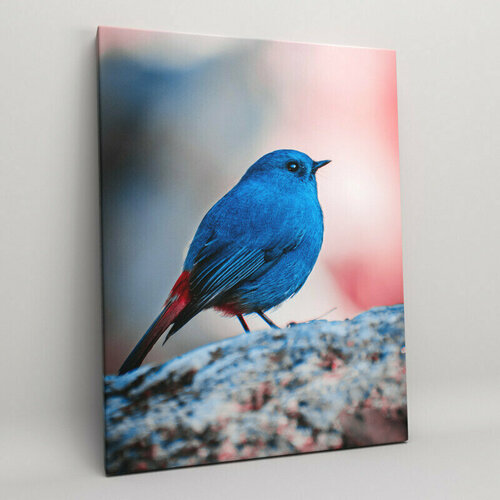 Картина на холсте (интерьерный постер) "Птицы - Сизая горихвостка", с деревянным подрамником, размер 22x30 см