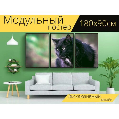 Модульный постер "Кошка, черный, черный кот" 180 x 90 см. для интерьера