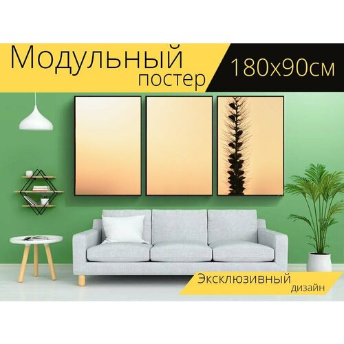 Модульный постер "Рассвет, трава, от чайтанья k" 180 x 90 см. для интерьера