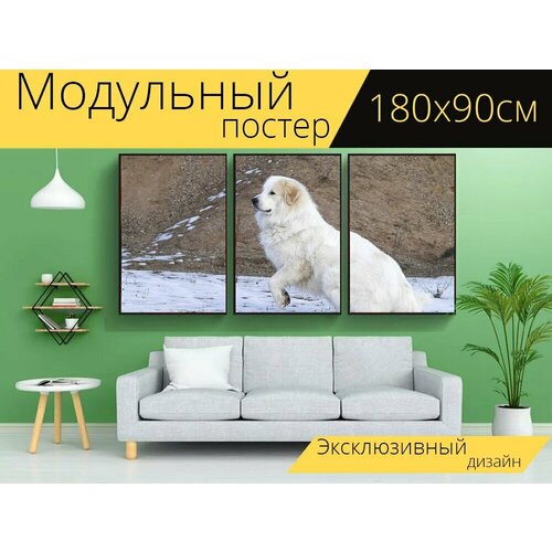 Модульный постер "Пиренейской горной собаки, прыгнуть, двигаться" 180 x 90 см. для интерьера