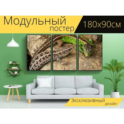 Модульный постер "Ящерицы, песчаные ящерицы, рептилия" 180 x 90 см. для интерьера