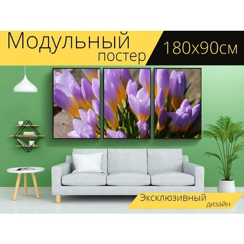 Модульный постер "Крокус, весна, ленц" 180 x 90 см. для интерьера