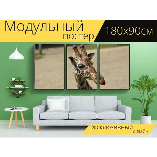 Модульный постер "Жирафа, жираф жирафа, животное" 180 x 90 см. для интерьера