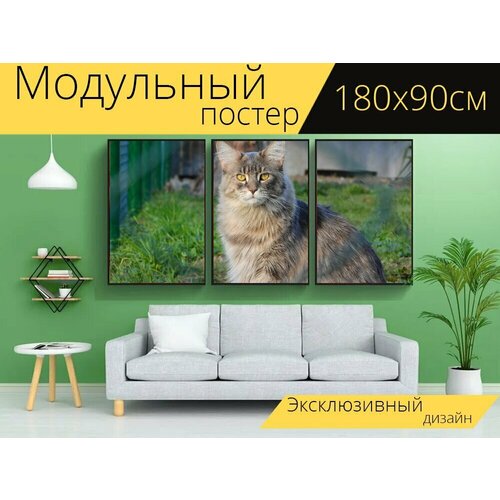 Модульный постер "Мейн кун кошка, кот, желтые глаза" 180 x 90 см. для интерьера