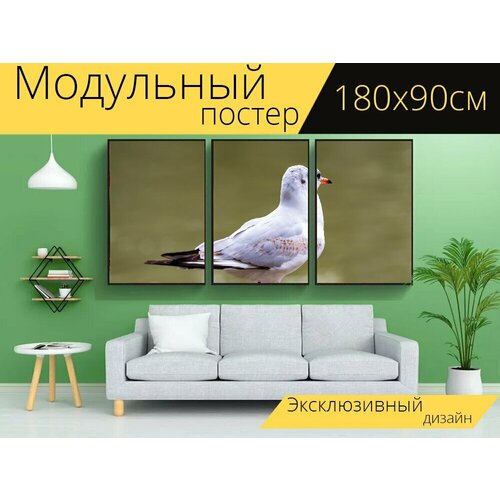 Модульный постер "Чайка, али, птица" 180 x 90 см. для интерьера