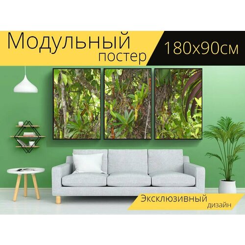Модульный постер "Тропический, пейзаж, растительность" 180 x 90 см. для интерьера