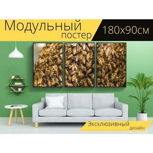 Модульный постер "Медовый, пчелиный улей, пчела" 180 x 90 см. для интерьера
