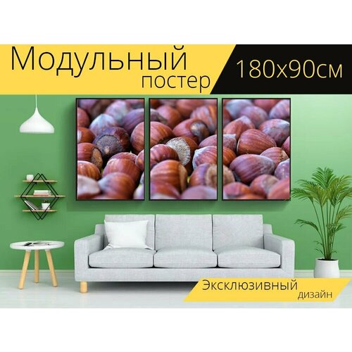 Модульный постер "Фундук, орех, еда" 180 x 90 см. для интерьера