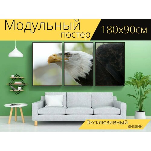 Модульный постер "Орел, птица, ящер" 180 x 90 см. для интерьера