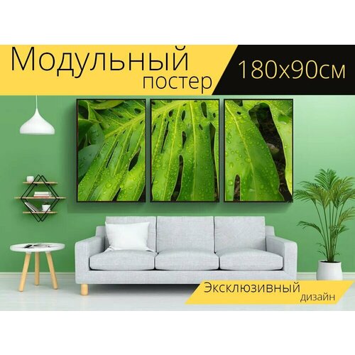 Модульный постер "Тропический лист, лист, тропический лес" 180 x 90 см. для интерьера