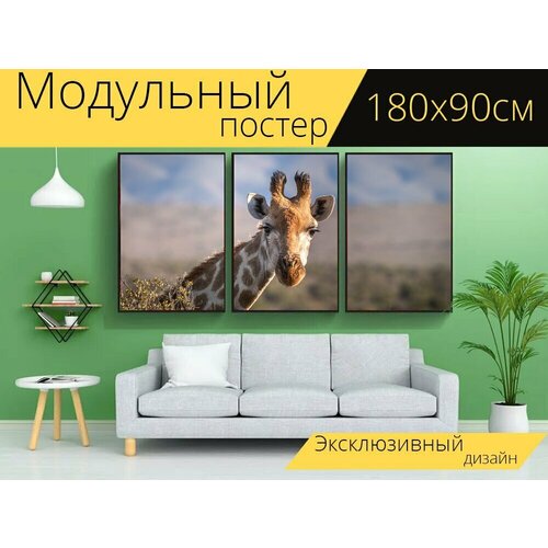 Модульный постер "Жирафа, портрет, сафари" 180 x 90 см. для интерьера