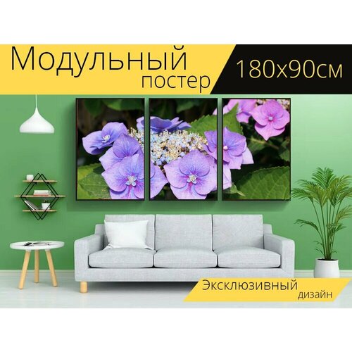Модульный постер "Гортензии, цветок, цвести" 180 x 90 см. для интерьера