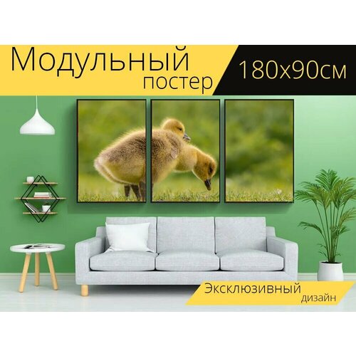 Модульный постер "Гуси, гусят, птицы" 180 x 90 см. для интерьера