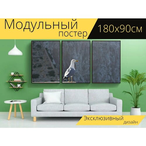 Модульный постер "Cap de formentor, майорка, чайка" 180 x 90 см. для интерьера