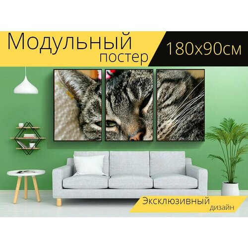 Модульный постер "Кот, мышь, кошка игрушка" 180 x 90 см. для интерьера