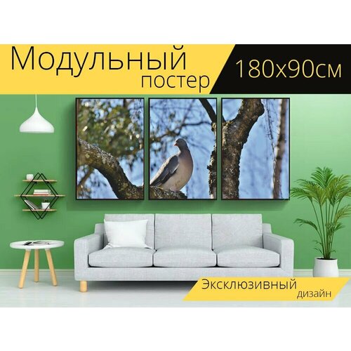 Модульный постер "Лесной голубь, голубь, птица" 180 x 90 см. для интерьера