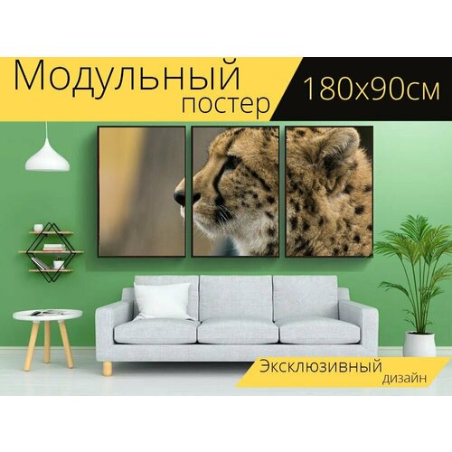 Модульный постер "Гепард, большой кот, профиль" 180 x 90 см. для интерьера