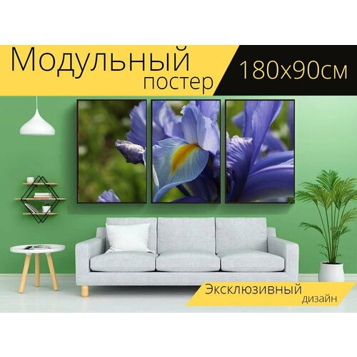 Модульный постер "Ирис, садовые цветы, весна" 180 x 90 см. для интерьера