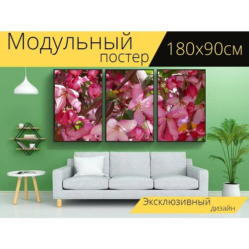 Модульный постер "Яблоко, цвести, дерево яблони" 180 x 90 см. для интерьера