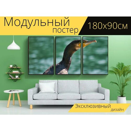 Модульный постер "Баклан, птица, животное" 180 x 90 см. для интерьера