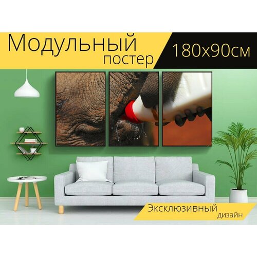 Модульный постер "Слоны, бутылочка для кормления, найроби" 180 x 90 см. для интерьера