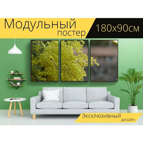 Модульный постер "Мимоза, желтый цветок, летом" 180 x 90 см. для интерьера