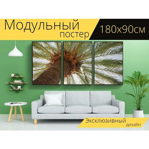Модульный постер "Пальма, пальмовые листья, тропический" 180 x 90 см. для интерьера