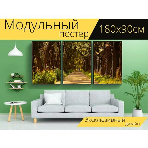 Модульный постер "Переулок, обсаженный деревьями, дорога" 180 x 90 см. для интерьера