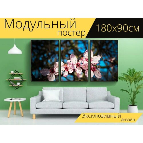 Модульный постер "Цветок миндаля, семя косточковых, расцветает" 180 x 90 см. для интерьера
