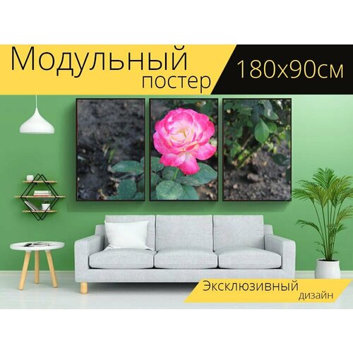 Модульный постер "Цветок, цветочный, лист" 180 x 90 см. для интерьера