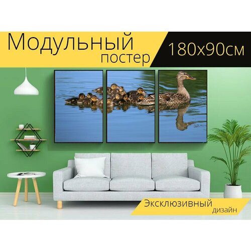 Модульный постер "Утки, утка, утята" 180 x 90 см. для интерьера