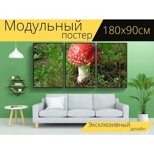 Модульный постер "Поганка, гриб, лес" 180 x 90 см. для интерьера