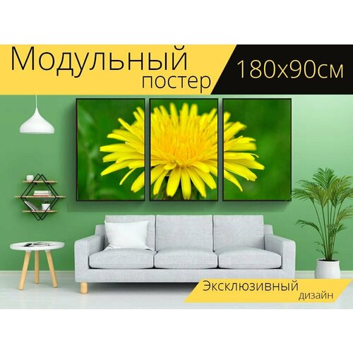 Модульный постер "Одуванчик, завод, цветок" 180 x 90 см. для интерьера
