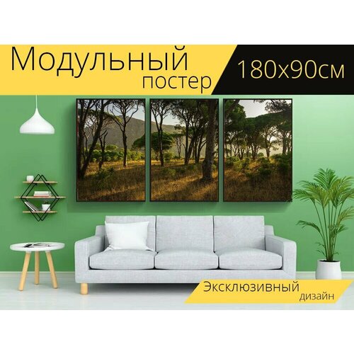 Модульный постер "Деревья, лес, летом" 180 x 90 см. для интерьера
