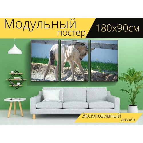 Модульный постер "Жеребенок, лошадь, пони" 180 x 90 см. для интерьера