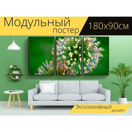 Модульный постер "Декоративные лук, цветок, блеклый" 180 x 90 см. для интерьера