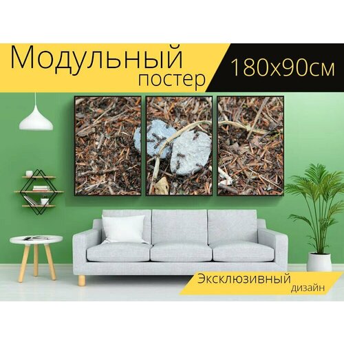 Модульный постер "Муравьи, лесные муравьи, деревянный муравейник" 180 x 90 см. для интерьера