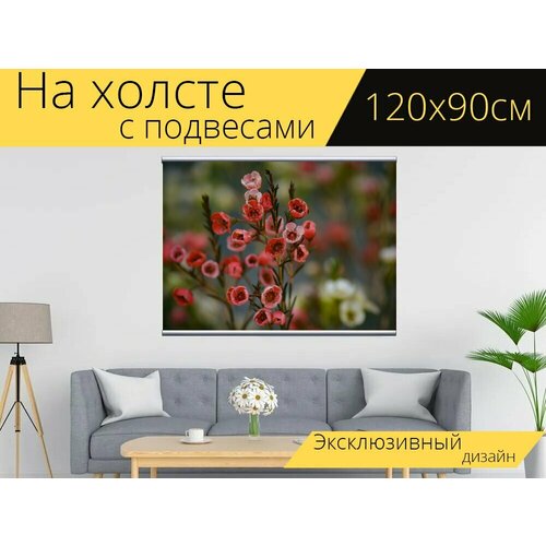 Картина на холсте "Воск цветы, цветок, красный" с подвесами 120х90 см. для интерьера