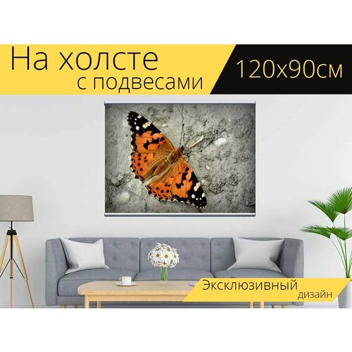 Картина на холсте "Бабочка, ванесса аталанта, раскраска" с подвесами 120х90 см. для интерьера