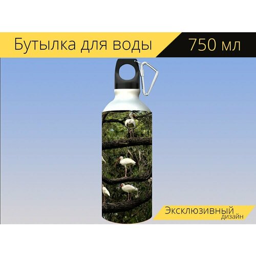 Бутылка фляга для воды "Ибис птицы, дерево, стадо" 750 мл. с карабином и принтом