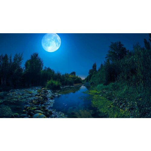 Картина на холсте 60x110 LinxOne "Ночь луна камни деревья" интерьерная для дома / на стену / на кухню / с подрамником