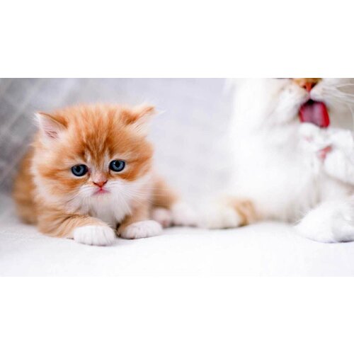 Картина на холсте 60x110 LinxOne "Рыжий котёнок котёнок взгляд кошка" интерьерная для дома / на стену / на кухню / с подрамником