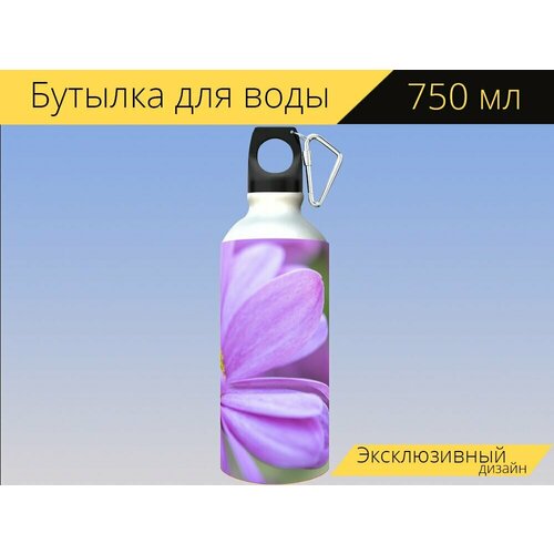 Бутылка фляга для воды "Астра, цветок, завод" 750 мл. с карабином и принтом
